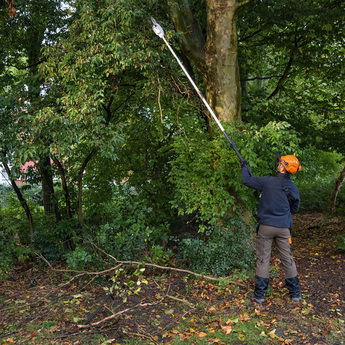 Stihl HTA86 Pole Saw | Chainsaws Pole Pruners UK