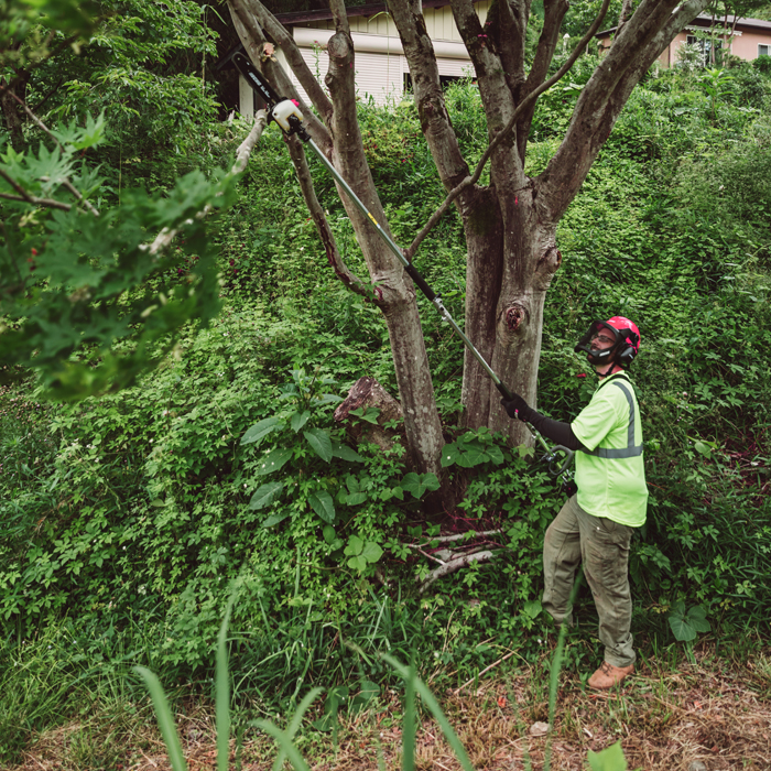 Echo MTA-PP Power Pruner Attachment | Multi Tools UK