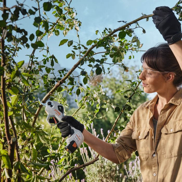 STIHL ASA20 Cordless Secateurs SHELL