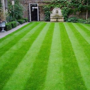 How to Get a Stunning Striped Lawn: Our Expert Tips